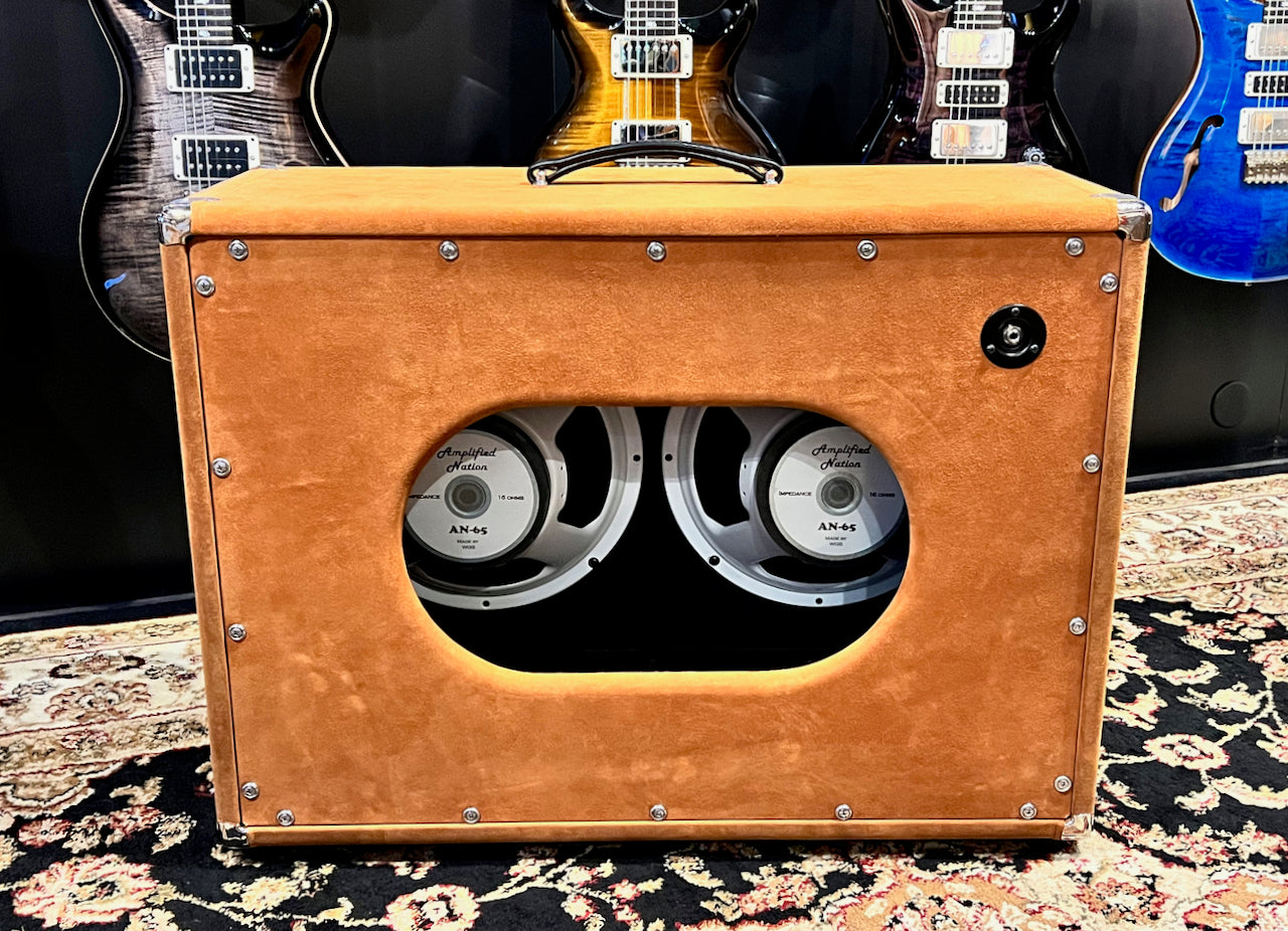 Amplified Nation Steel String Singer 100 Watt Head & 2x12 Cabinet Gold ...